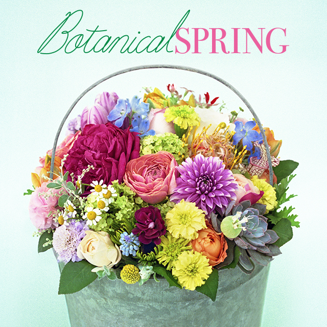 LIVING | Afternoon Tea